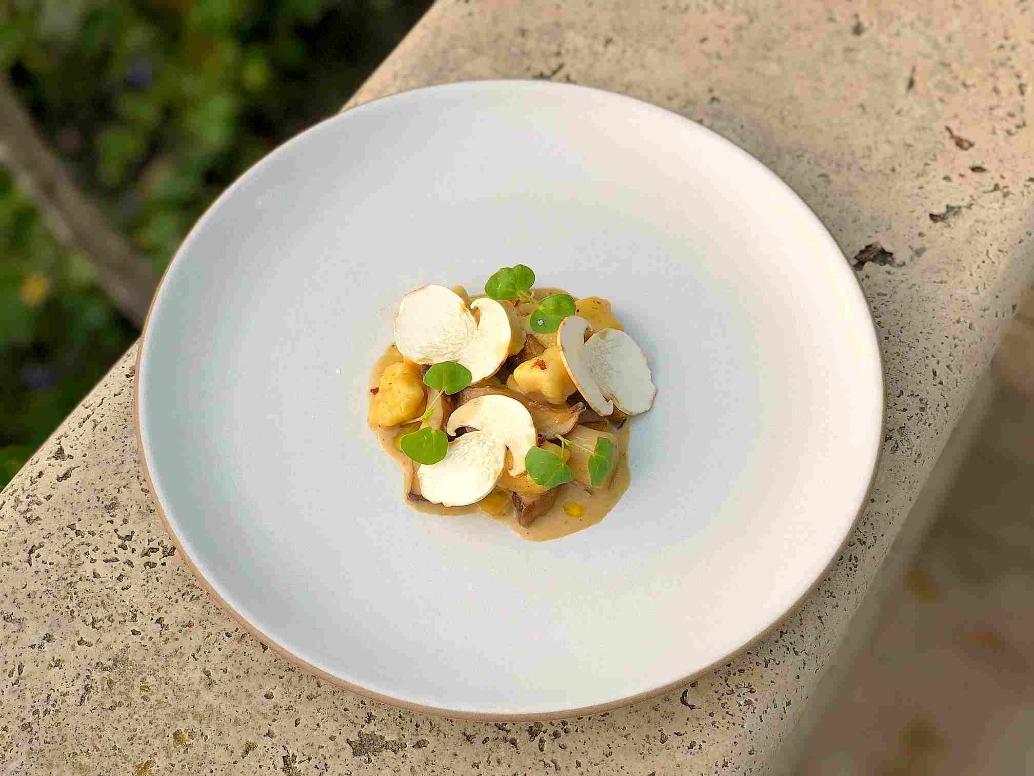 Best Ricotta Gnocchi Recipe with Porcinis! – Salt & Vanilla