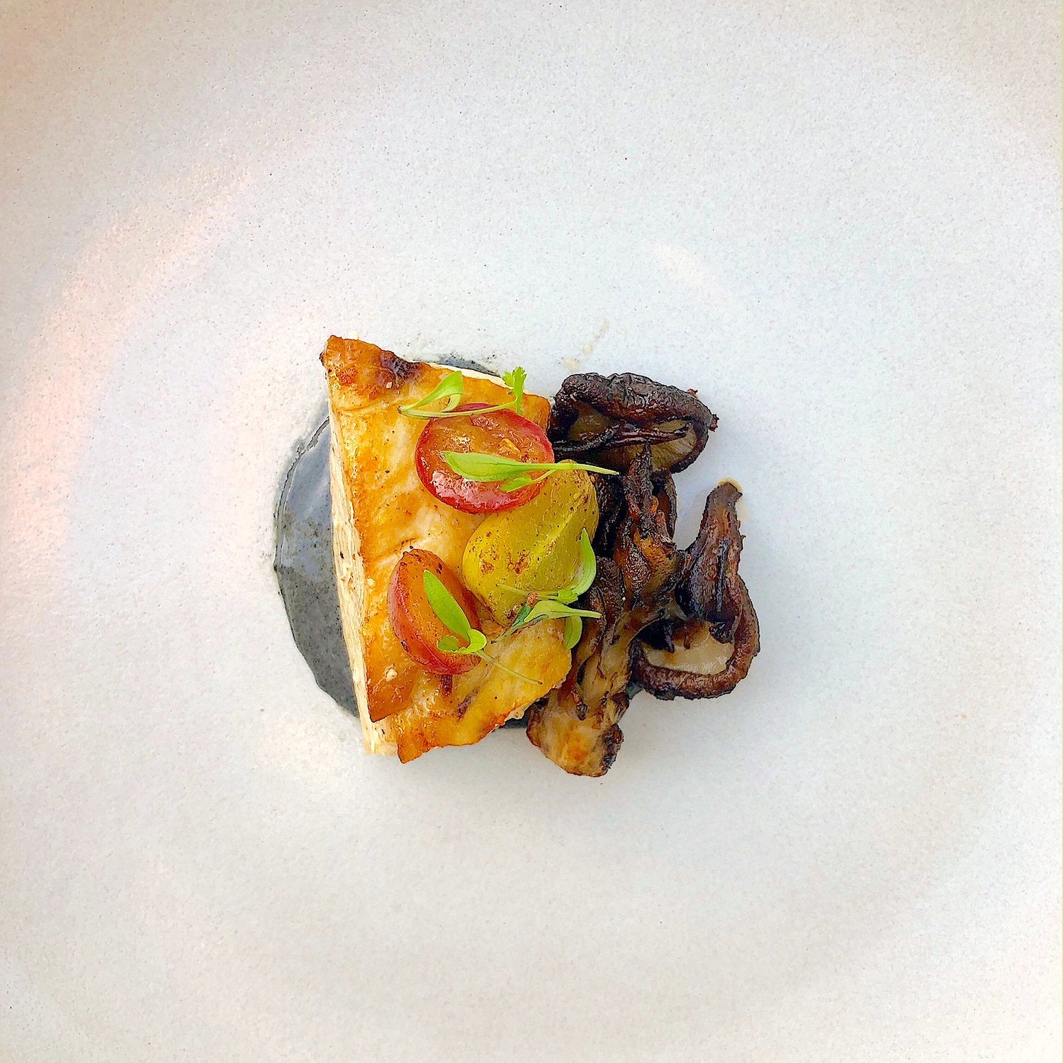Easy Pacific Bass Recipe with Ash aioli and Mushrooms – Salt & Vanilla