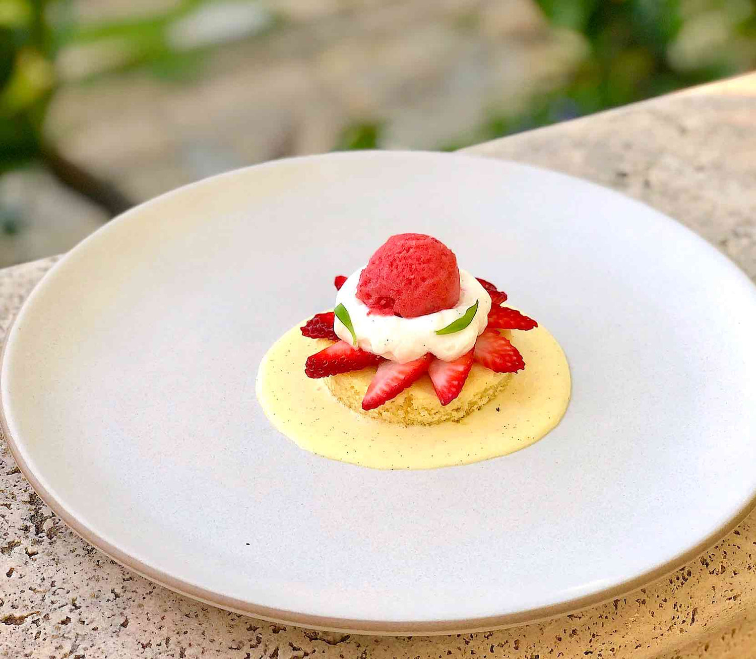 Best Strawberry Shortcake Recipe with Olive Oil Cake – Salt & Vanilla